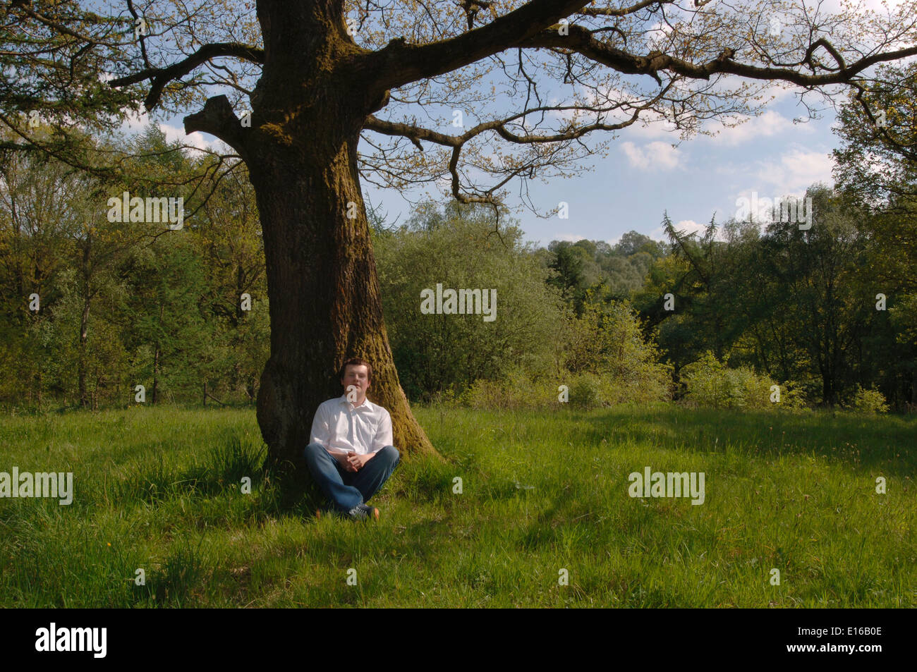 Man sitting alone under tree hi-res stock photography and images - Alamy