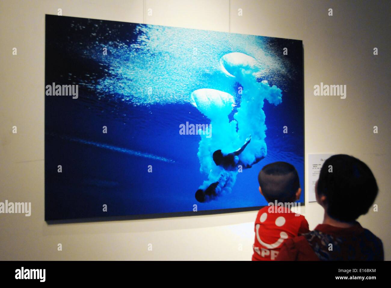 Beijing, China. 24th May, 2014. Two visitors view the photo "Dark Angel ...