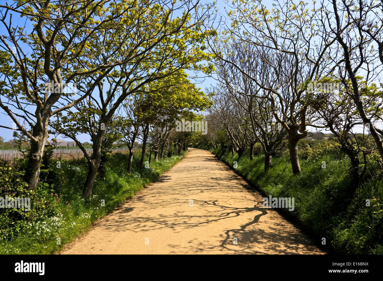 Typical road hi-res stock photography and images - Alamy