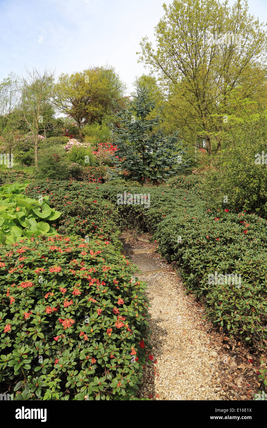 The Himalayan Garden Grewelthorpe Ripon Stock Photo - Alamy
