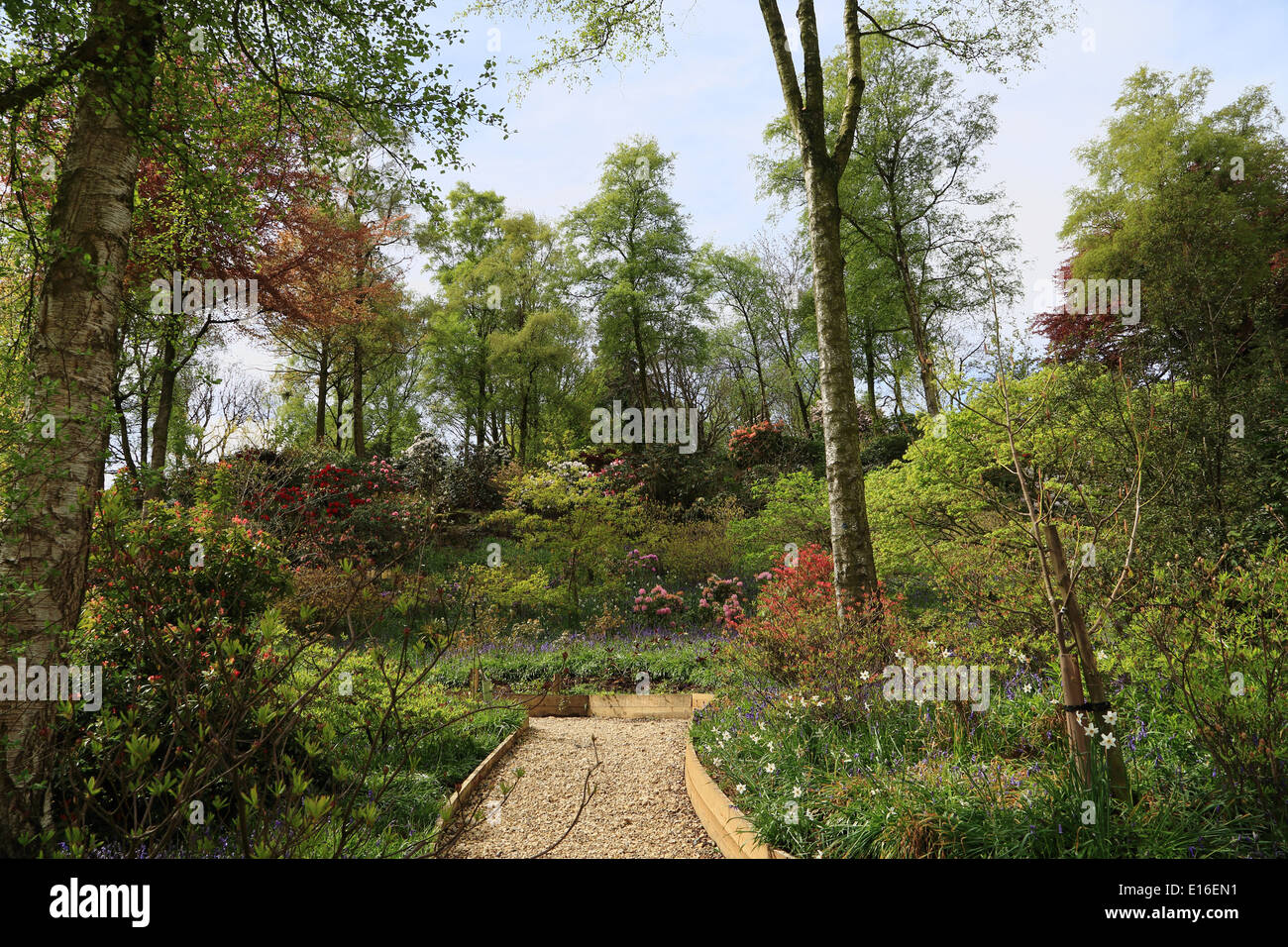 The Himalayan Garden Grewelthorpe Ripon Stock Photo - Alamy
