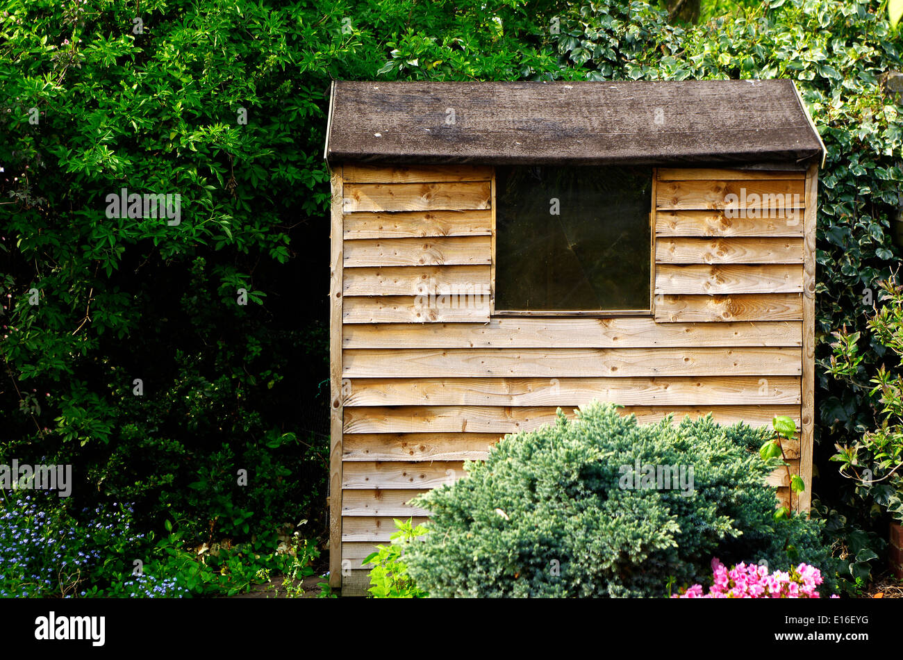 Wooden Garden Shed in Spring, UK PROPERTY RELEASED Stock Photo - Alamy