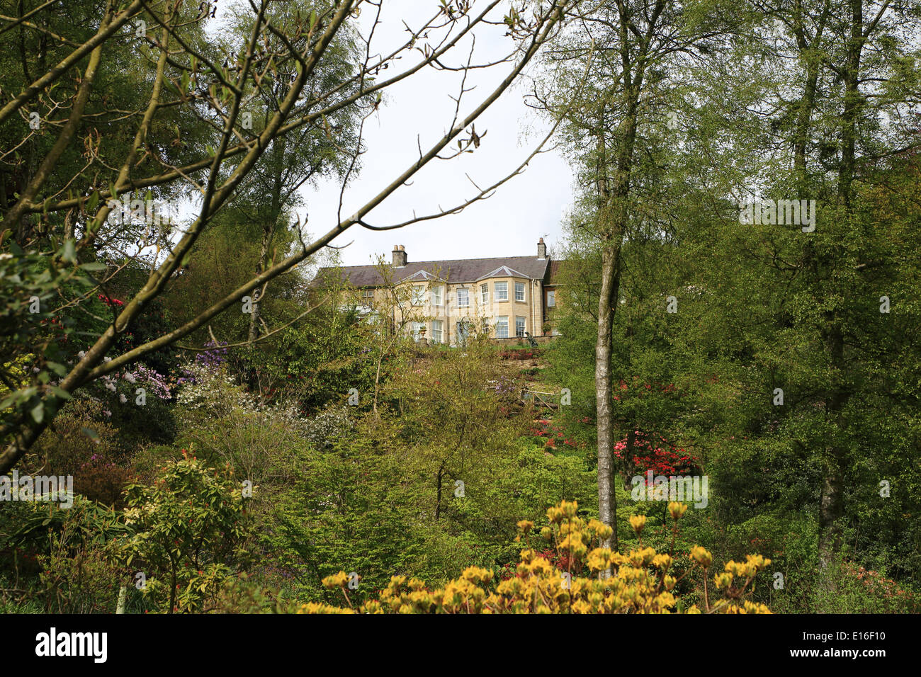 The Himalayan Garden Grewelthorpe Ripon Stock Photo - Alamy