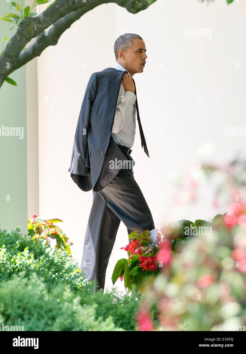 Obama walking across south lawn hi-res stock photography and images - Alamy
