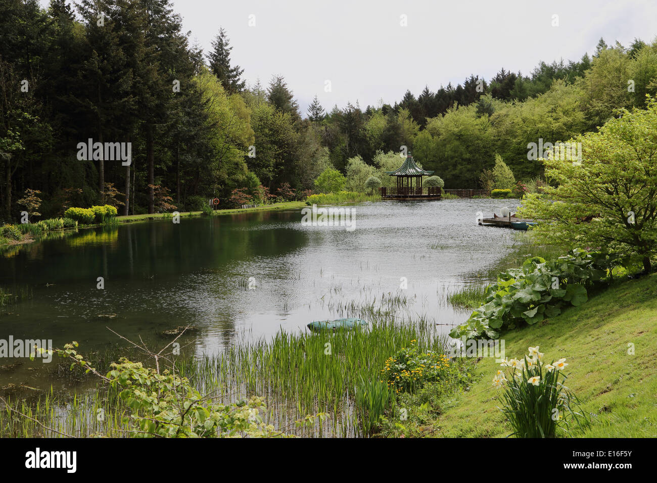 The Himalayan Garden Grewelthorpe Ripon Stock Photo - Alamy