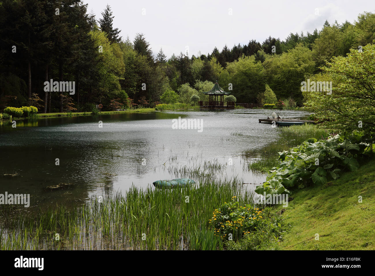 The Himalayan Garden Grewelthorpe Ripon Stock Photo - Alamy