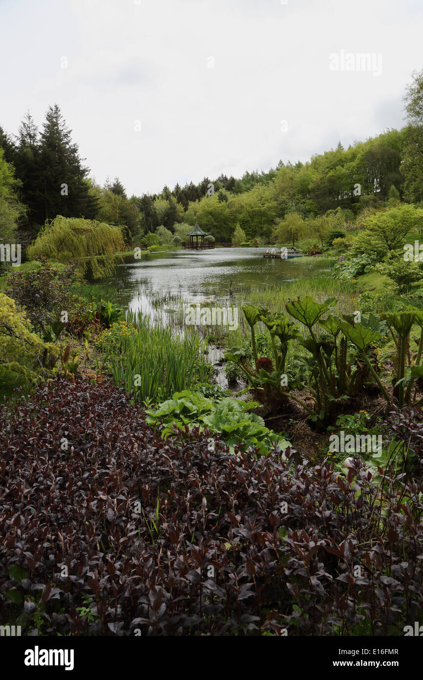 The Himalayan Garden Grewelthorpe Ripon Stock Photo - Alamy