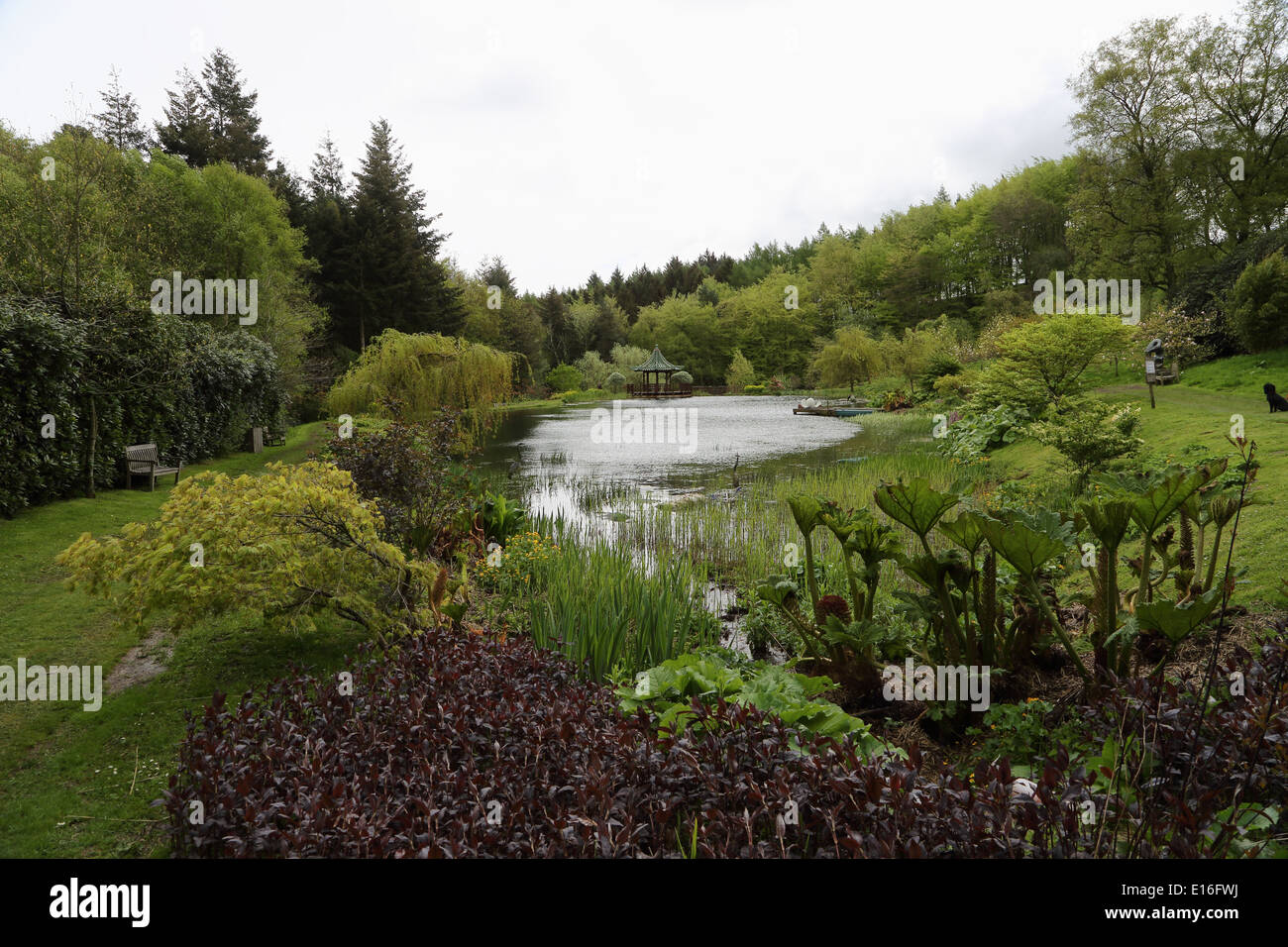The Himalayan Garden Grewelthorpe Ripon Stock Photo - Alamy