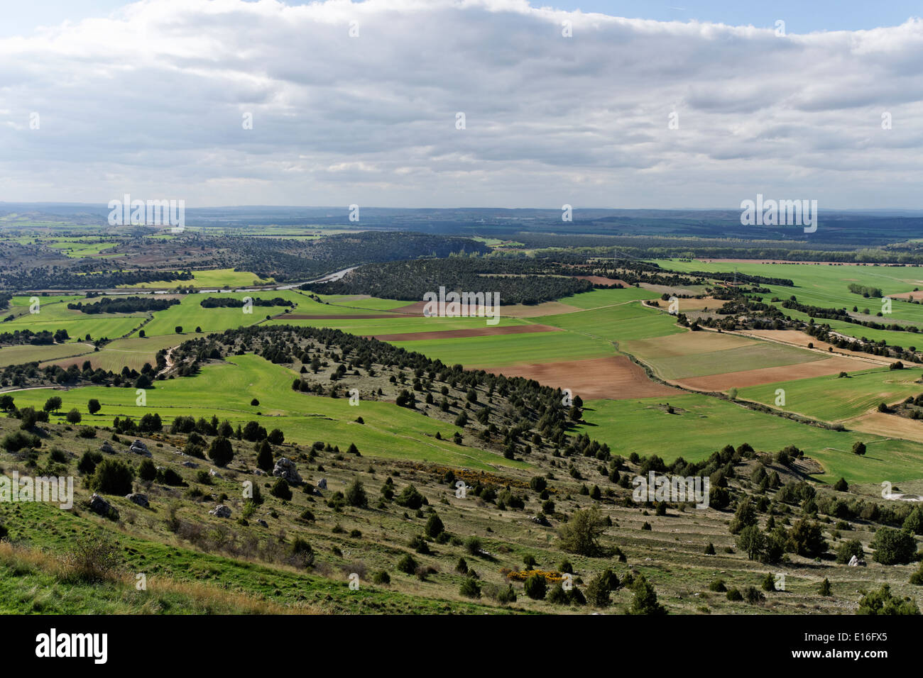 gormaz castle soria spain Stock Photo - Alamy
