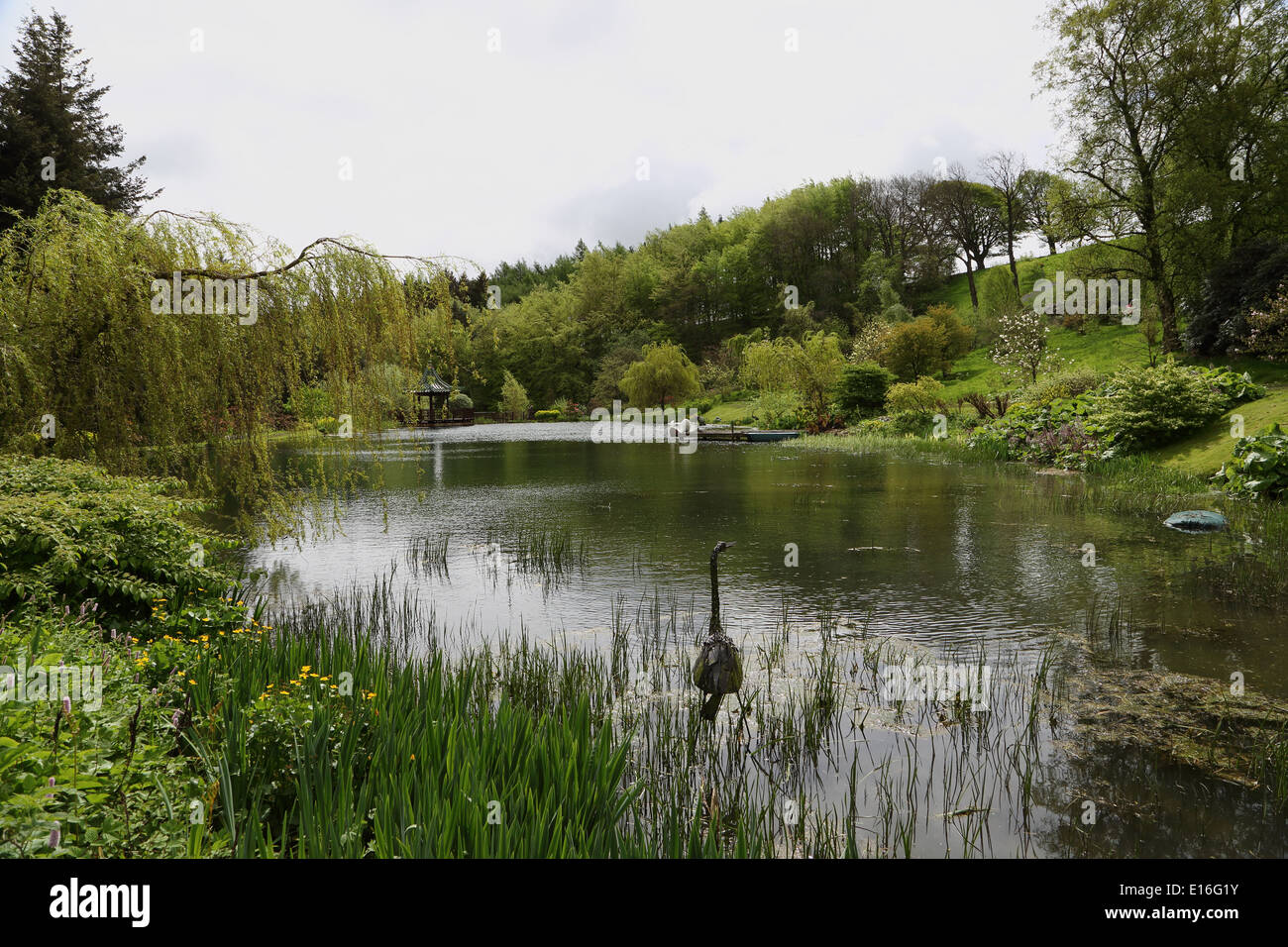 The Himalayan Garden Grewelthorpe Ripon Stock Photo - Alamy