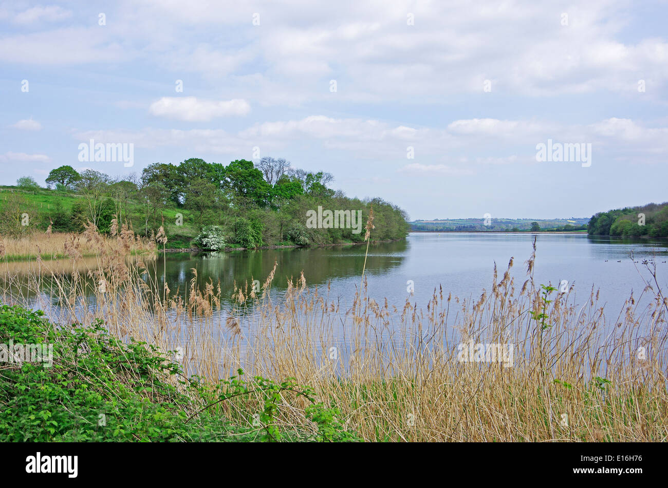 Chelmarsh Reservoir, Chelmarsh, Shropshire, England, UK Stock Photo - Alamy