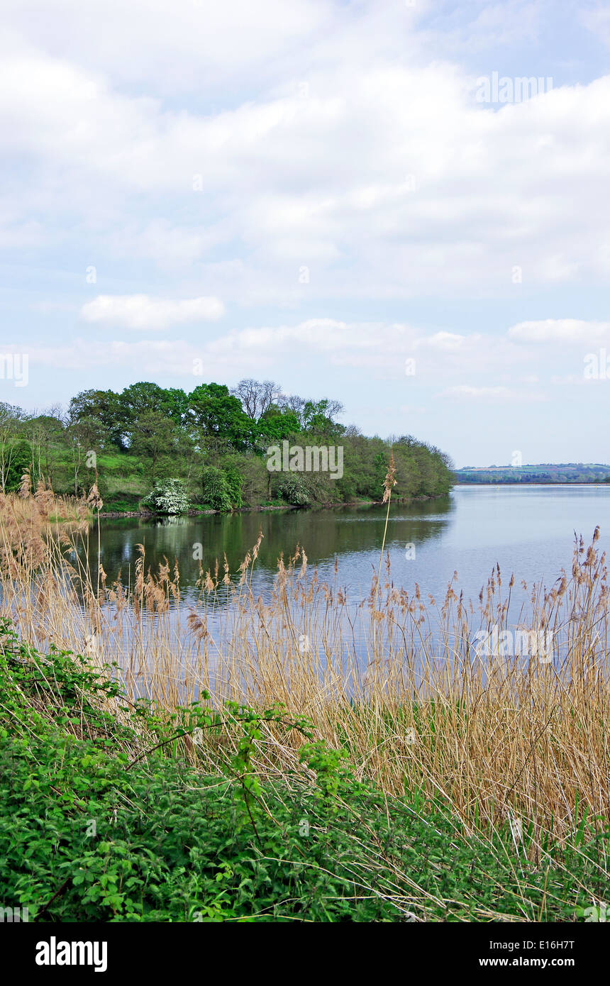 Chelmarsh Reservoir, Chelmarsh, Shropshire, England, UK Stock Photo - Alamy