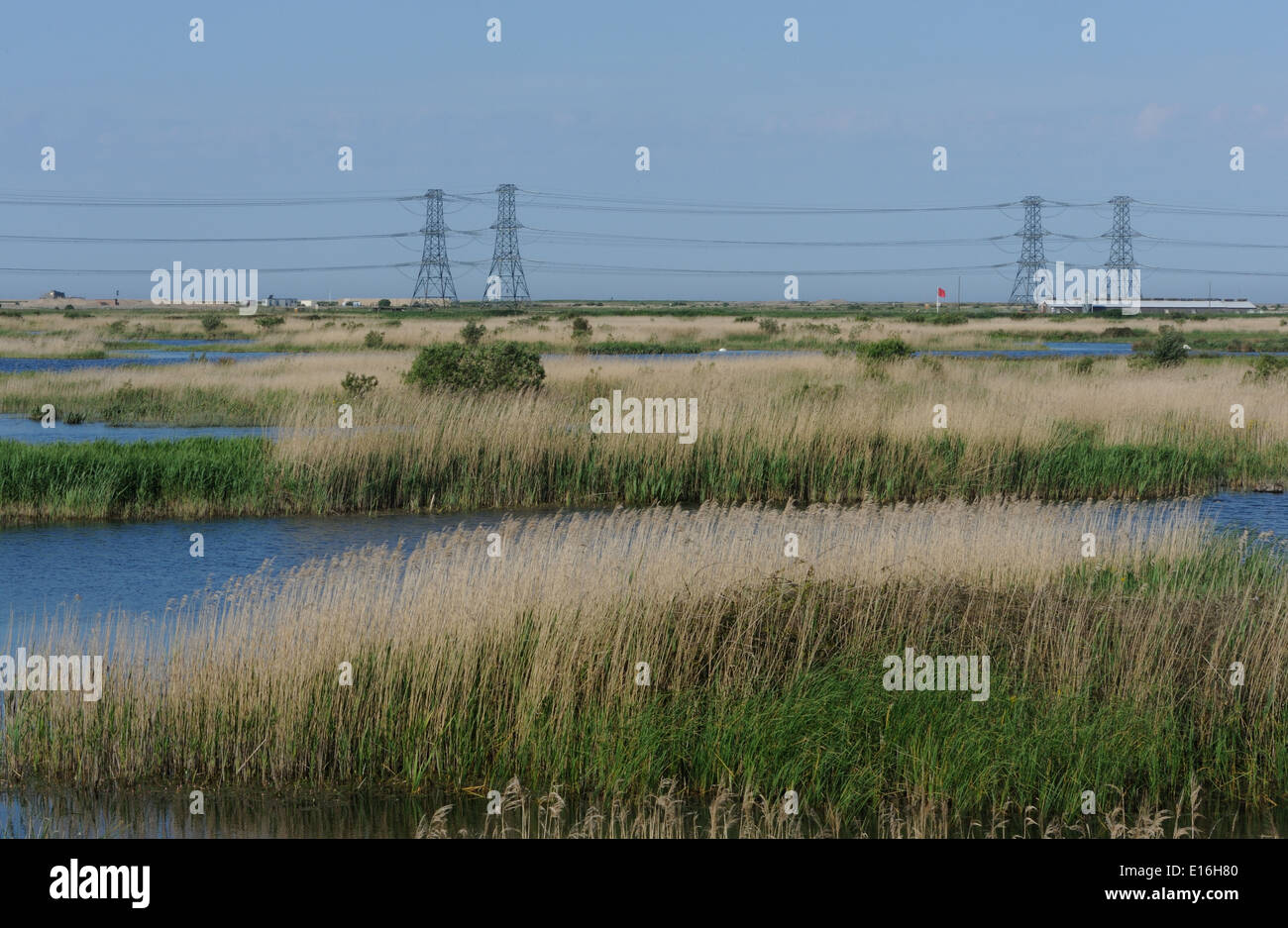 Electricity pylons run across Dungeness and Denge Marsh carrying power ...
