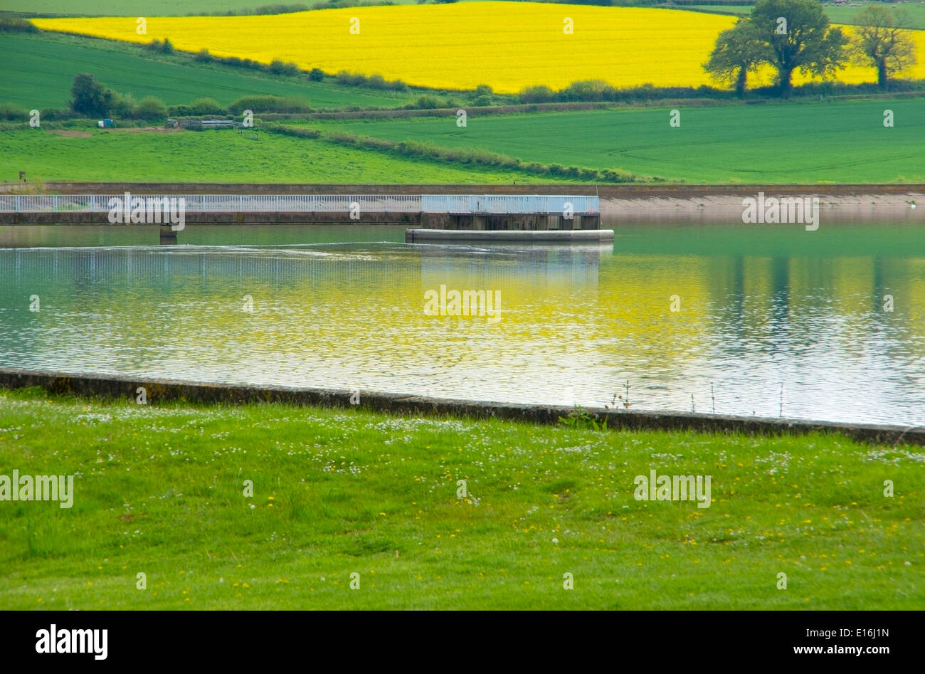 Chelmarsh Reservoir, Chelmarsh, Shropshire, England, UK Stock Photo - Alamy