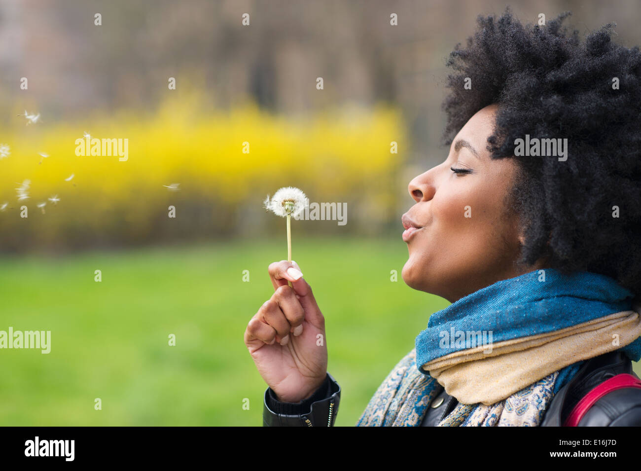 Blowing dandelion hi-res stock photography and images - Alamy