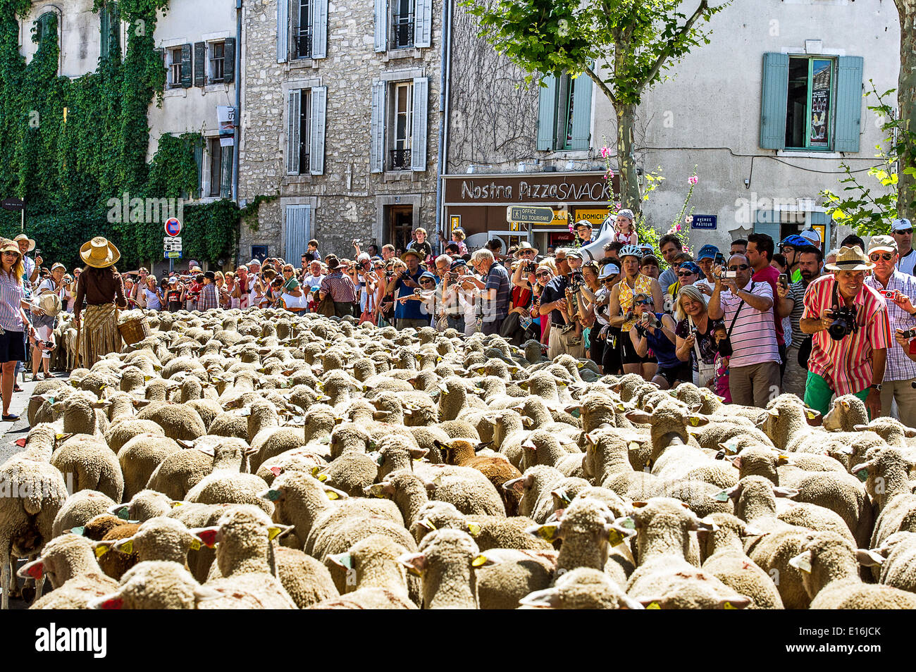 Europe, France, Bouches-du-Rhone, Saint-Remy-de-Provence. Festival of ...