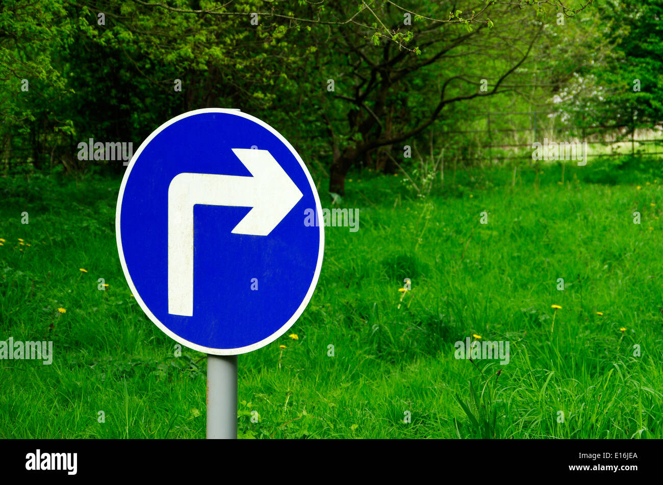 Right Turn Only Road Sign, UK Stock Photo - Alamy