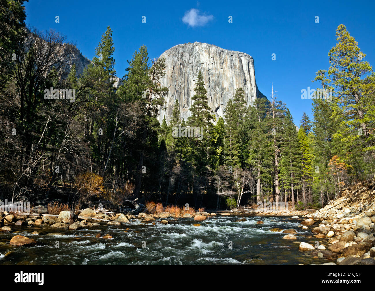 CALIFORNIA - El Capitan tower over the Merced River in the Yosemite ...