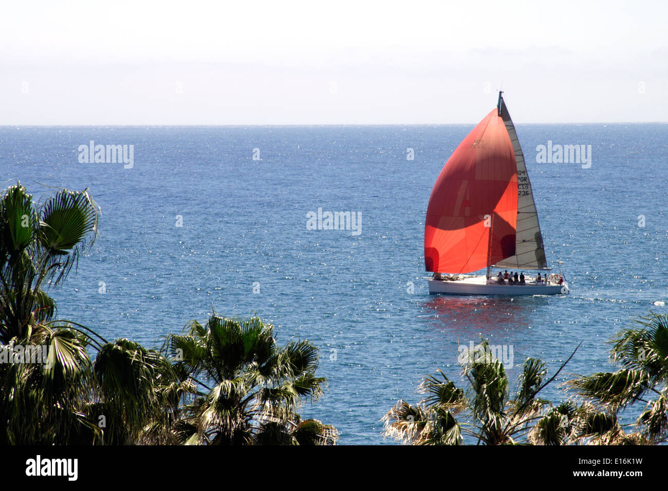 Yacht sailing off coast madeira hi-res stock photography and images - Alamy