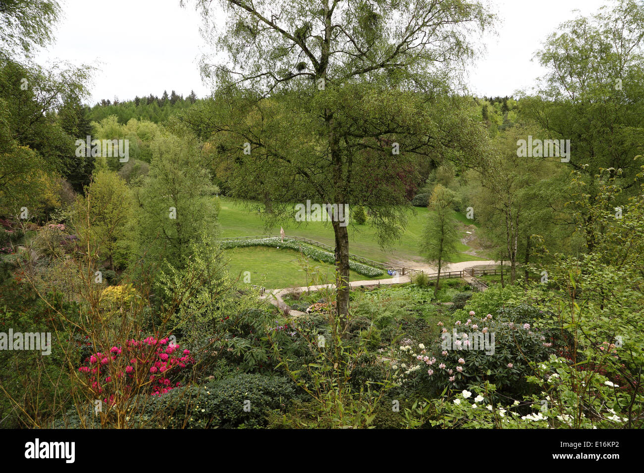 The Himalayan Garden Grewelthorpe Ripon Stock Photo - Alamy