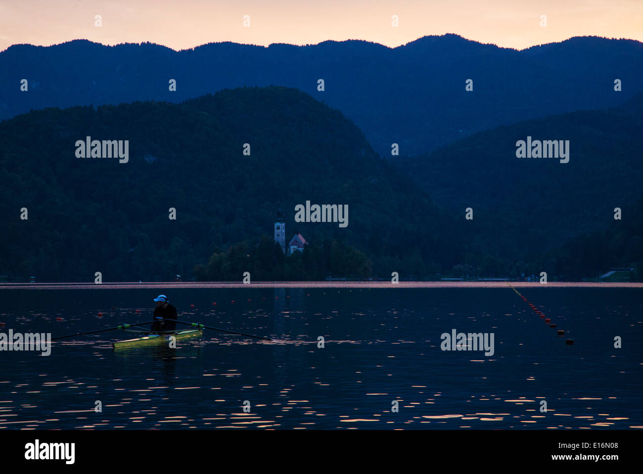 Rowing boat racer training on Lake Bled at sunset, Slovenia Stock Photo ...