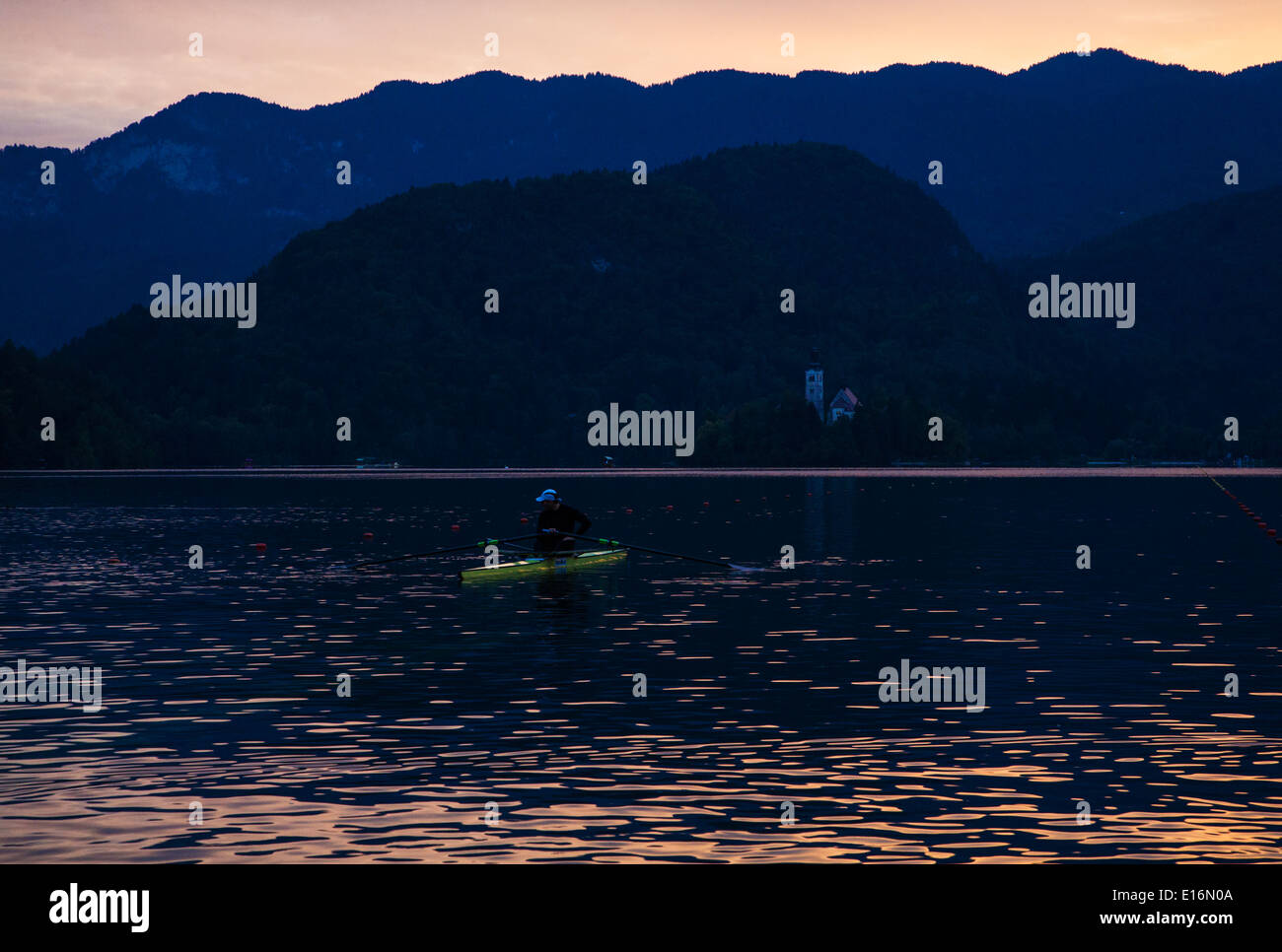 Rowing boat racer training on Lake Bled at sunset, Slovenia Stock Photo ...