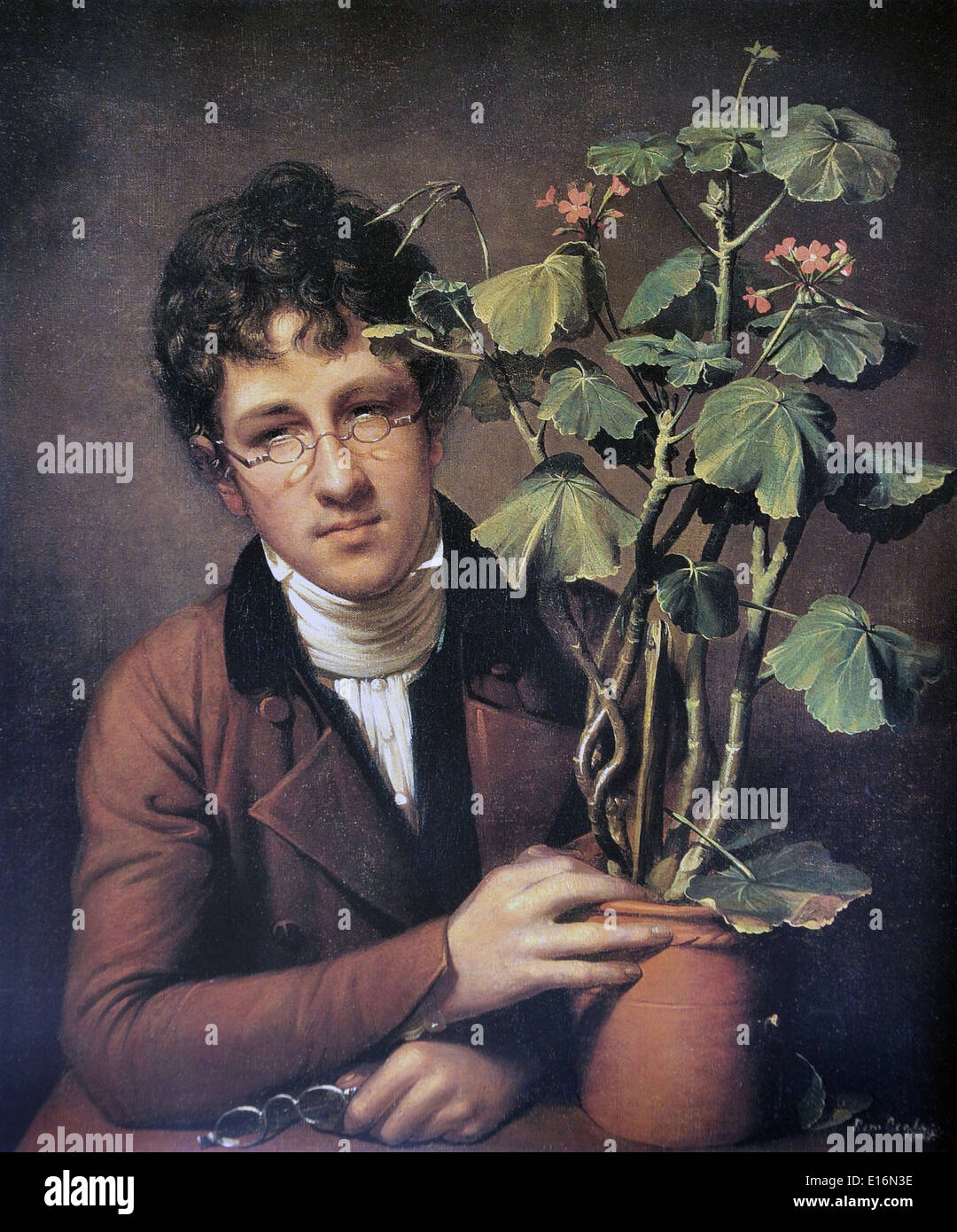 Rubens peale with geranium rembrandt painting art artist hi-res stock ...