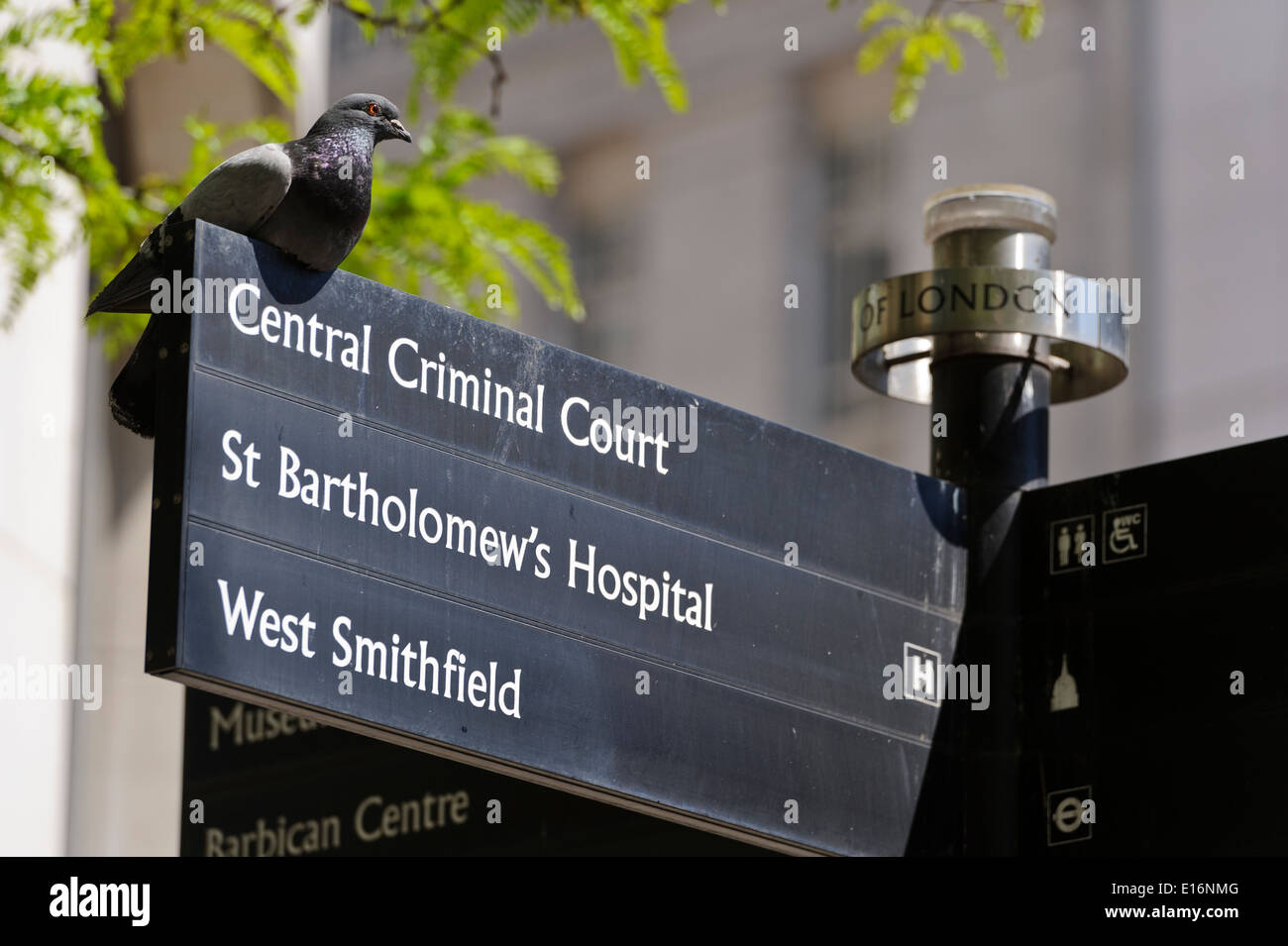 Road signs in the City of London, England, United Kingdom Stock Photo ...