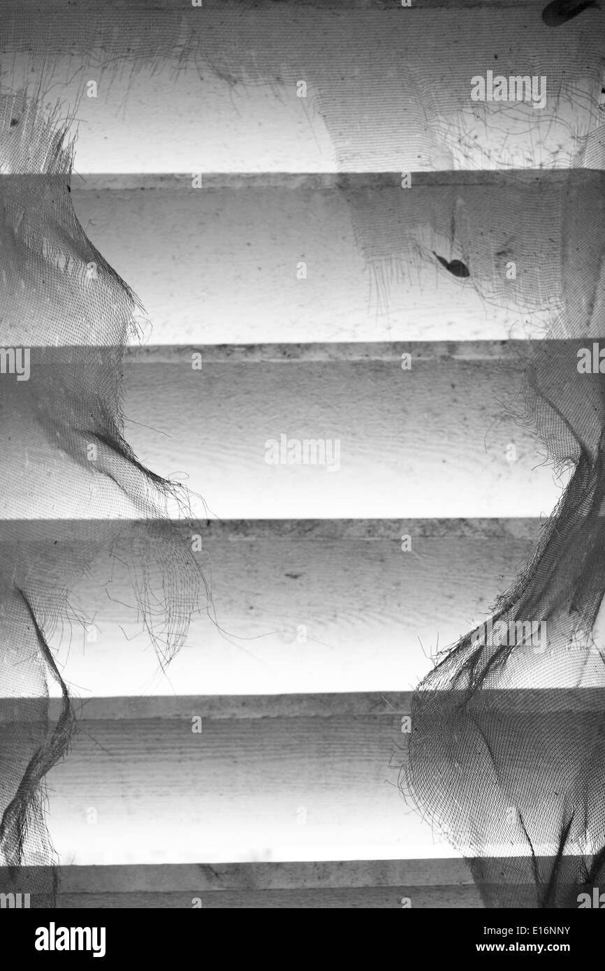 An unusual black & white artistic view of a ripped & torn window screen ...