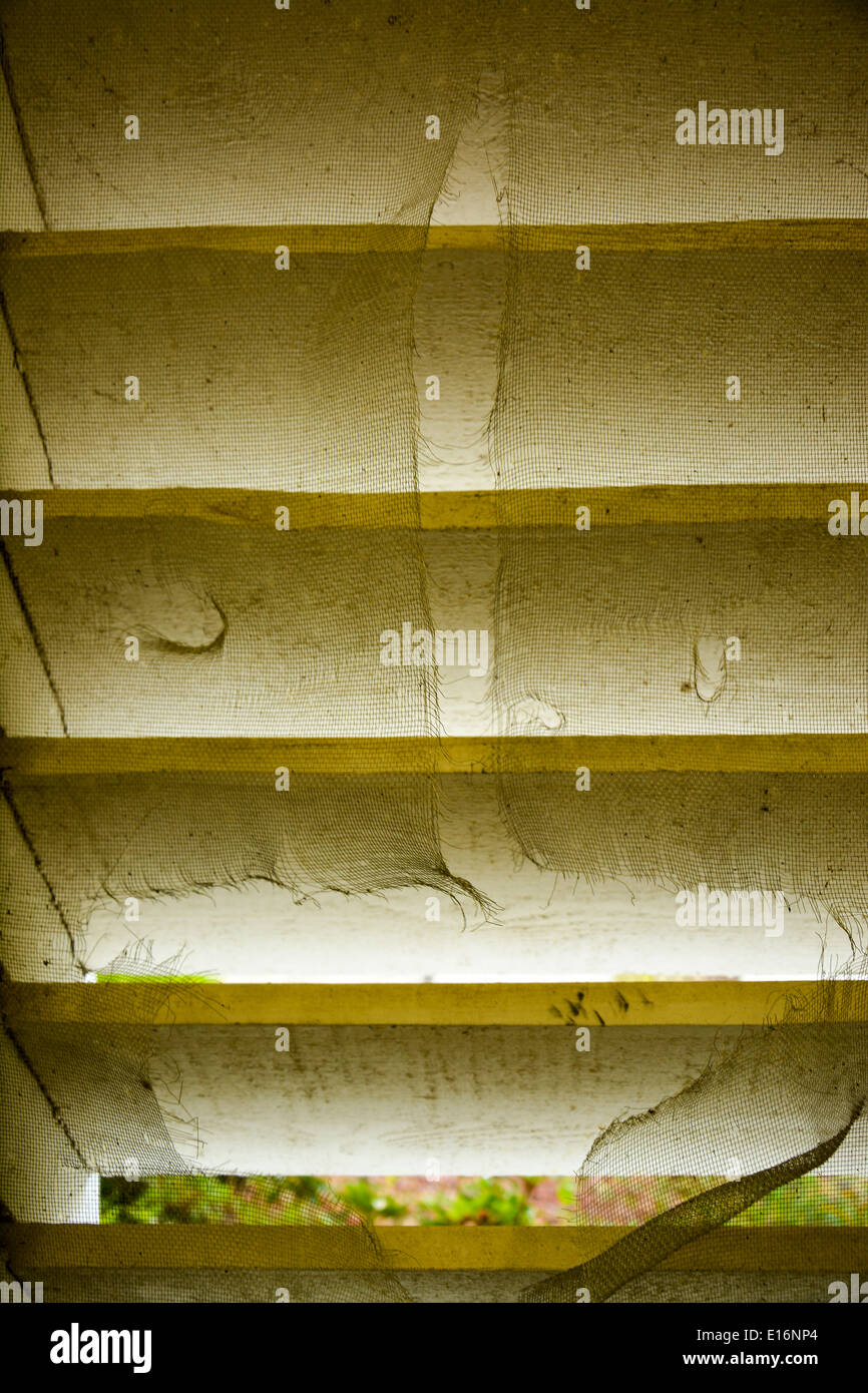 Torn screen hi-res stock photography and images - Alamy