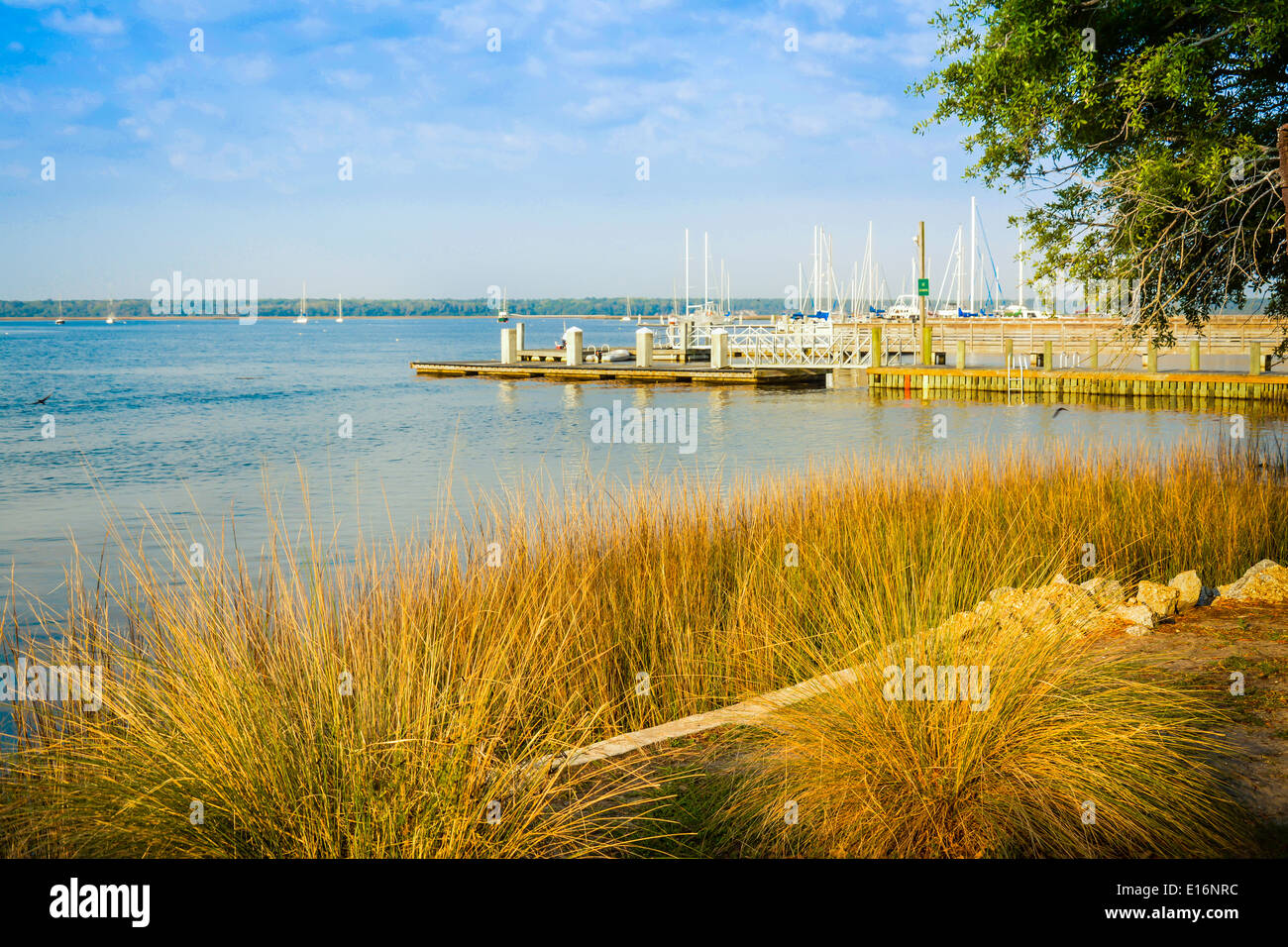Lowcountry marsh grass frames the view of the marina and harbor of St ...