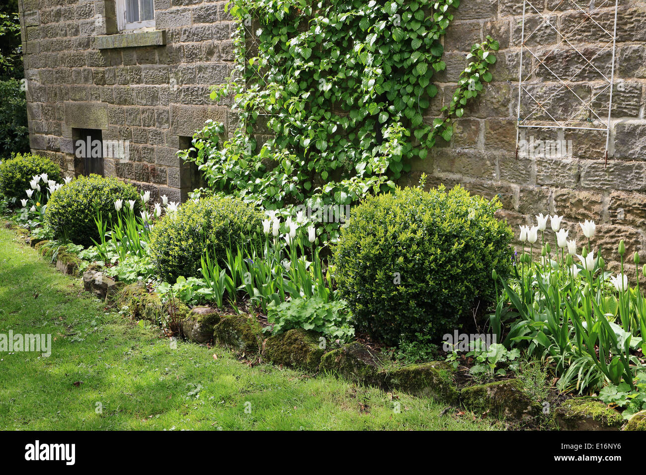 The Himalayan Garden Grewelthorpe Ripon Stock Photo - Alamy