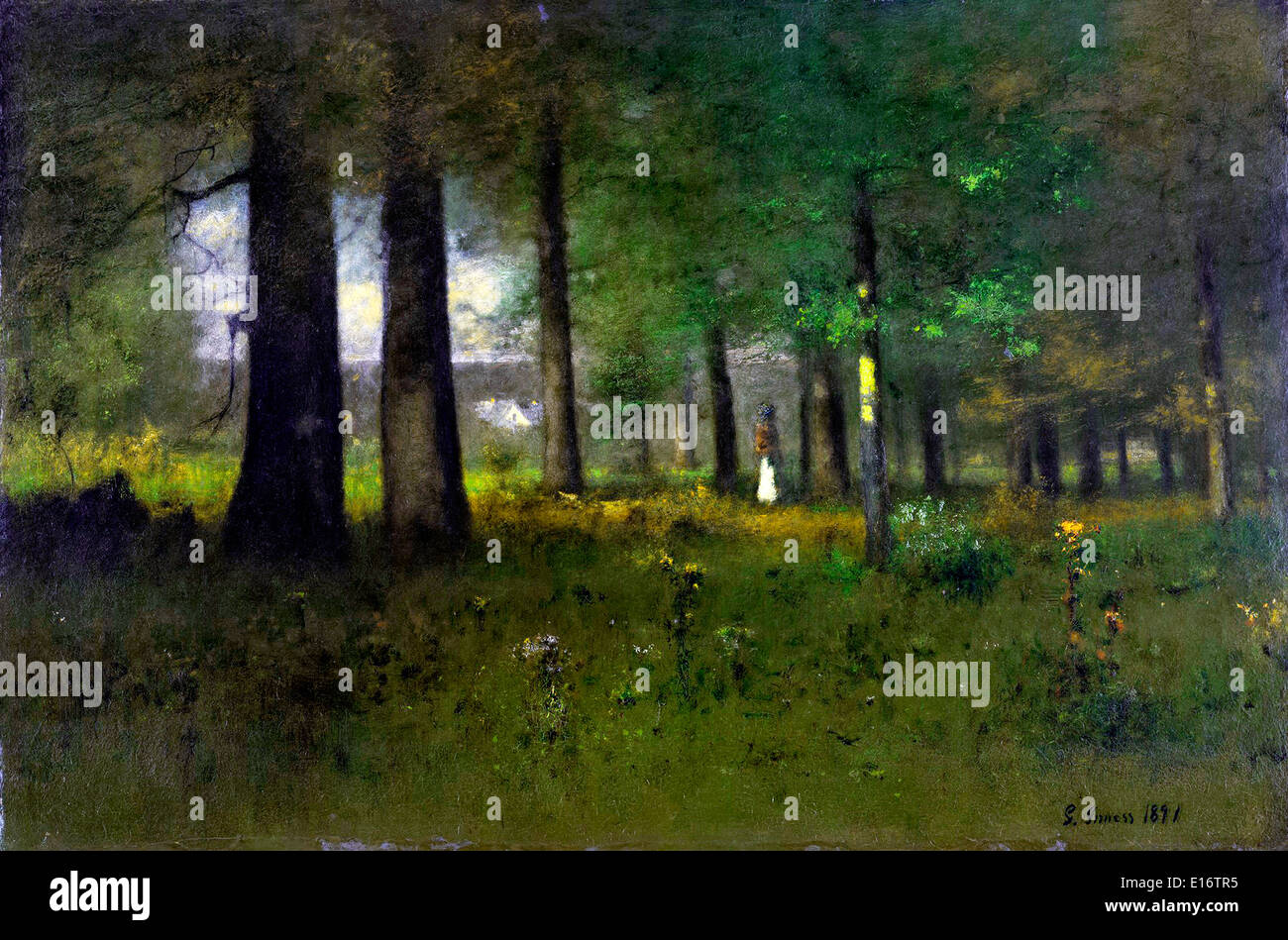 Edge forest hi-res stock photography and images - Alamy