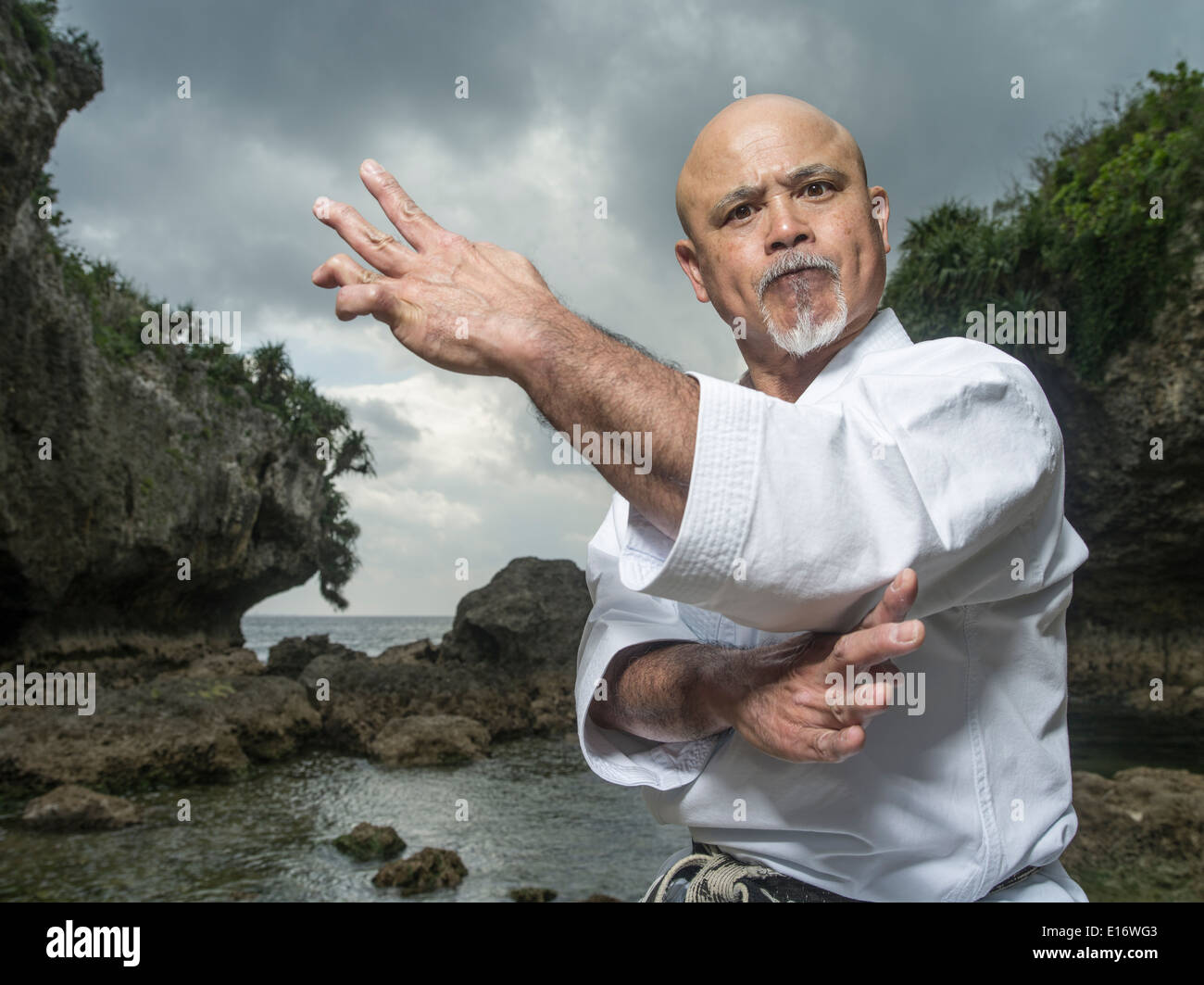 Ryu Japanese Karate Training