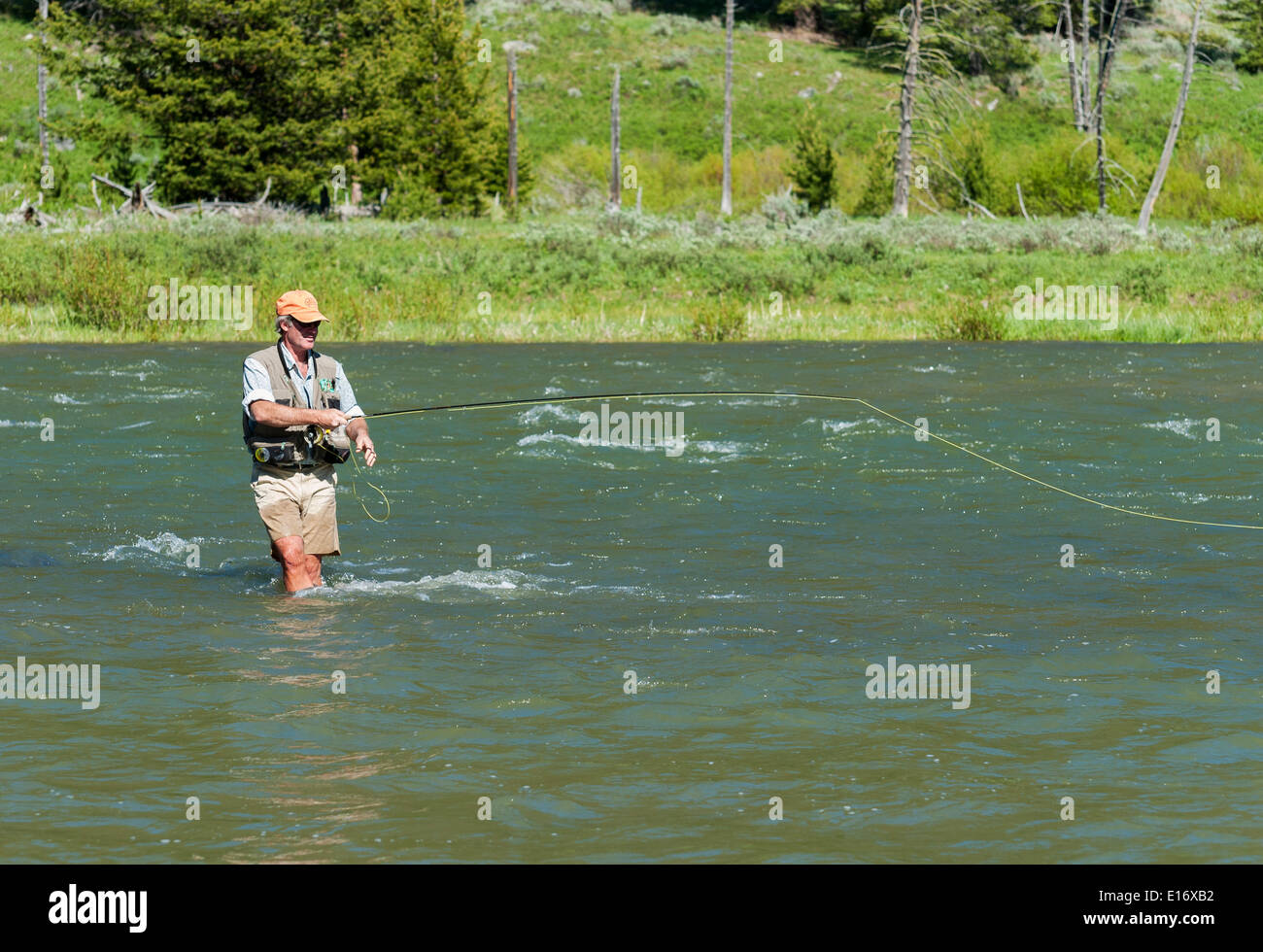 River madison Cut Out Stock Images & Pictures - Alamy