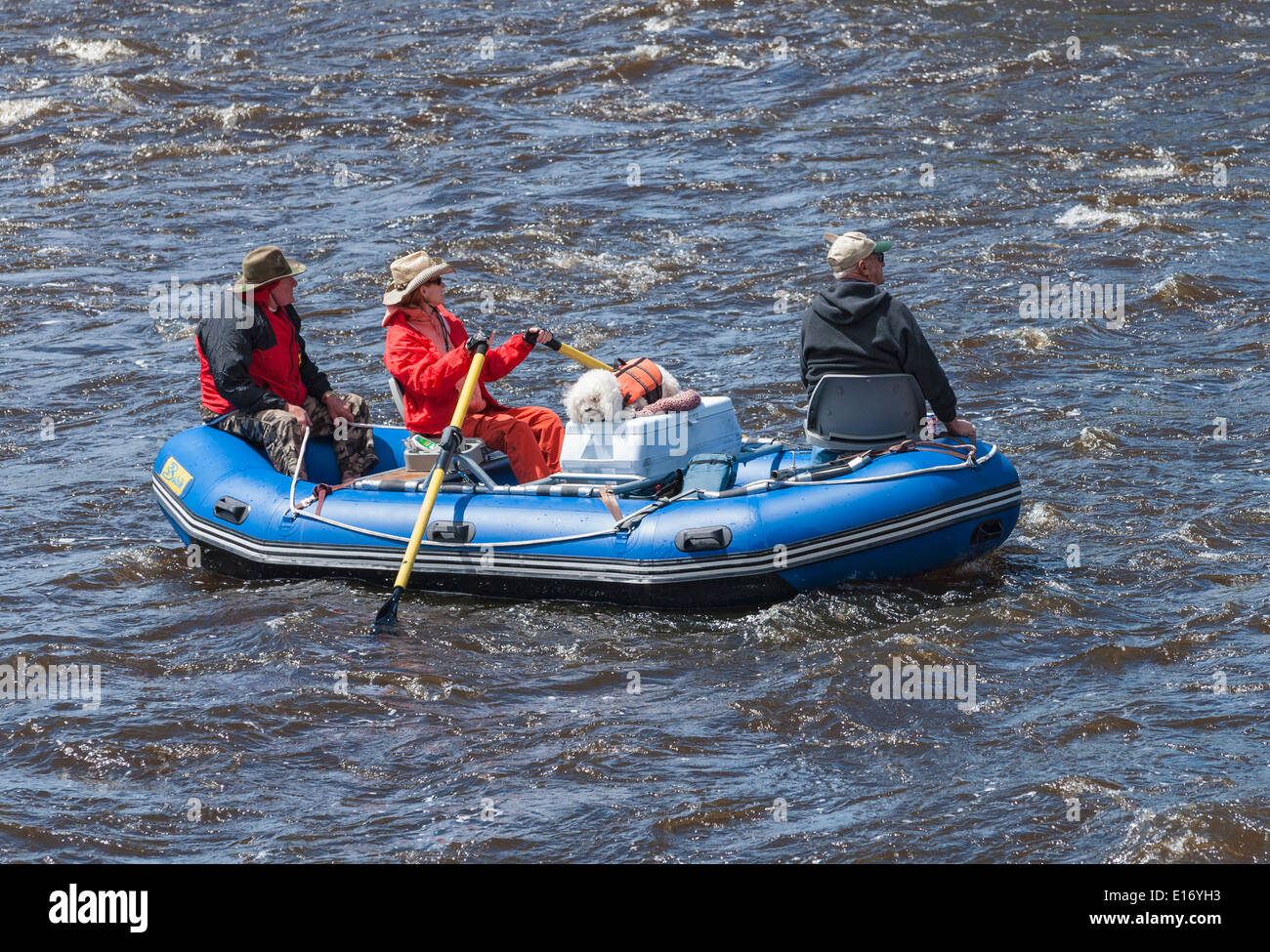 Montana, Big Hole River, inflatable oar boat, three adults with dog ...