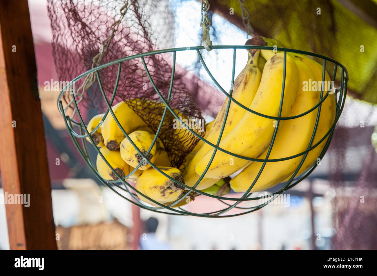 From the network hi-res stock photography and images - Alamy