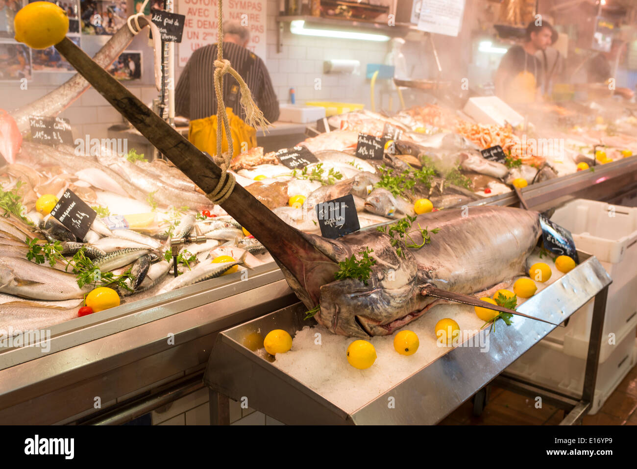 Marlin swordfish hi-res stock photography and images - Alamy