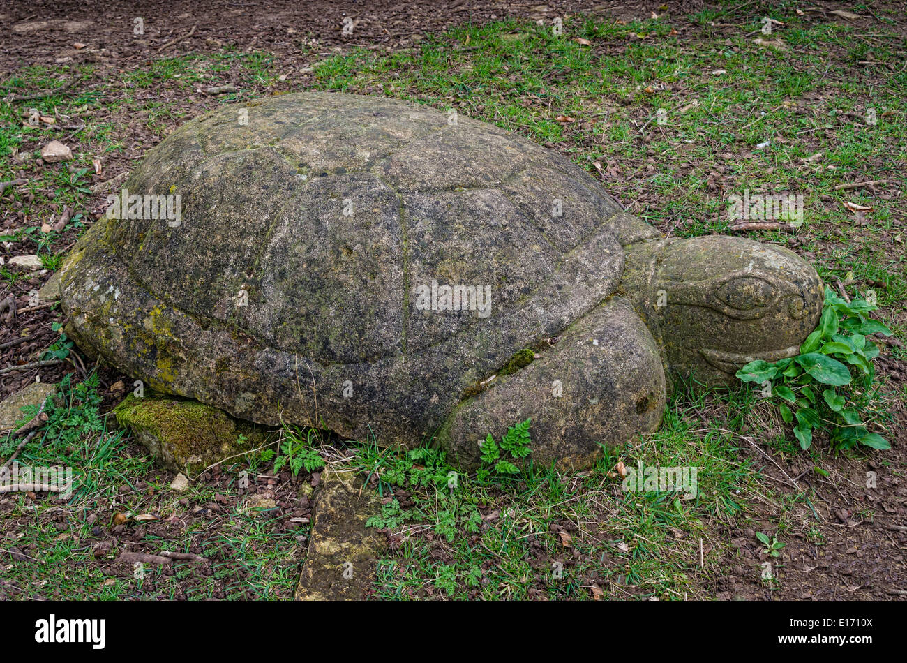 Tortoise Temple High Resolution Stock Photography and Images - Alamy