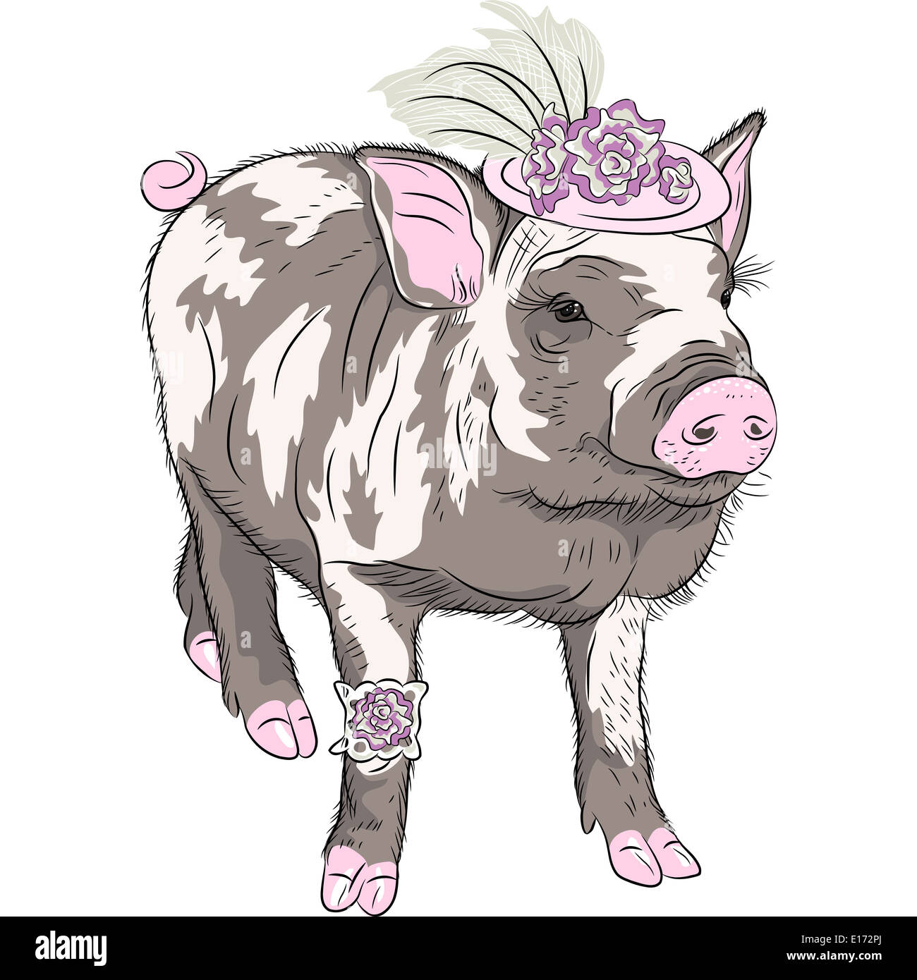 Pig in Cut Out Stock Images & Pictures - Alamy