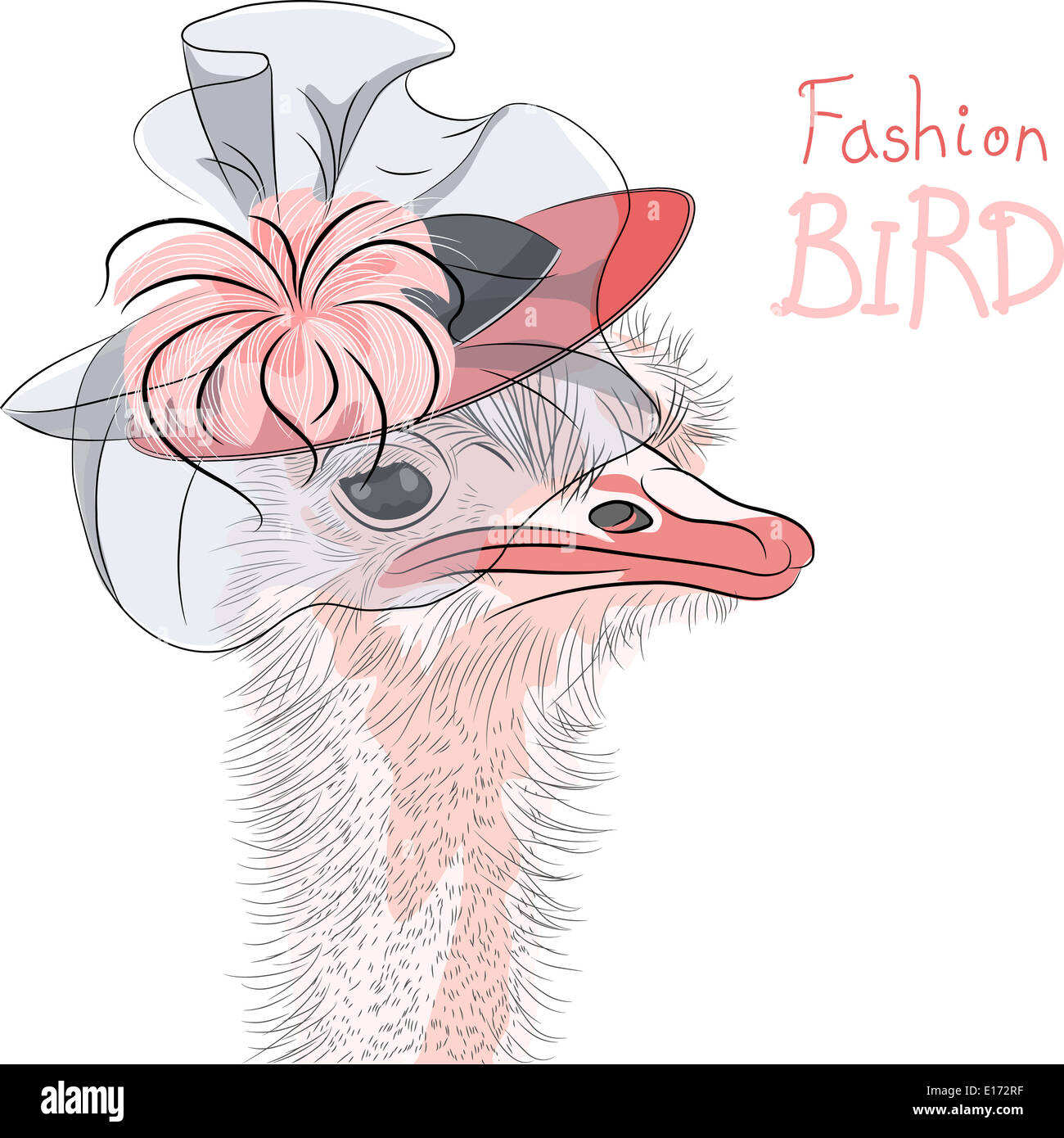 Ostrich hat hi-res stock photography and images - Alamy