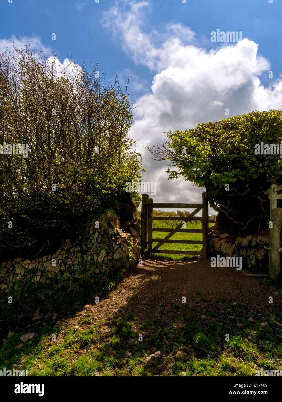 Gate on a country footpath, Exmoor, England, UK Stock Photo - Alamy