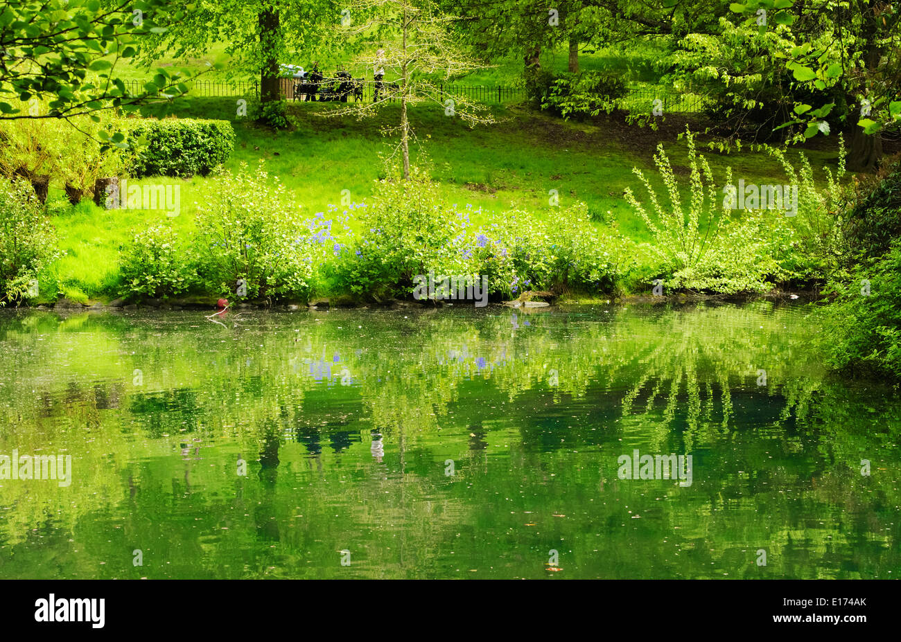 Spring in Kelvingrove park in Glasgow, Scotland Stock Photo - Alamy