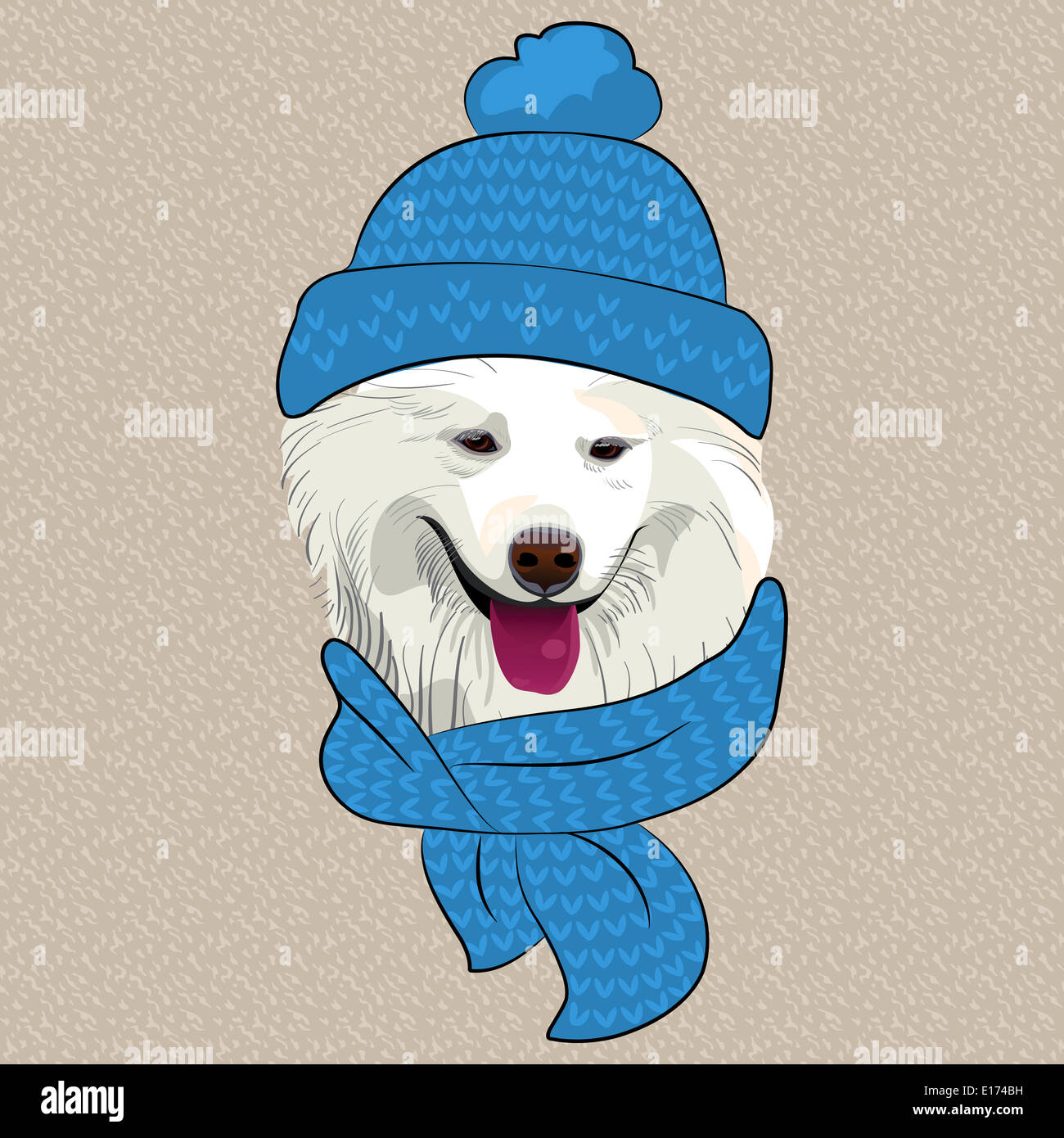 hipster Samoyed dog smile in a blue knitted hat and scarf Stock Photo ...