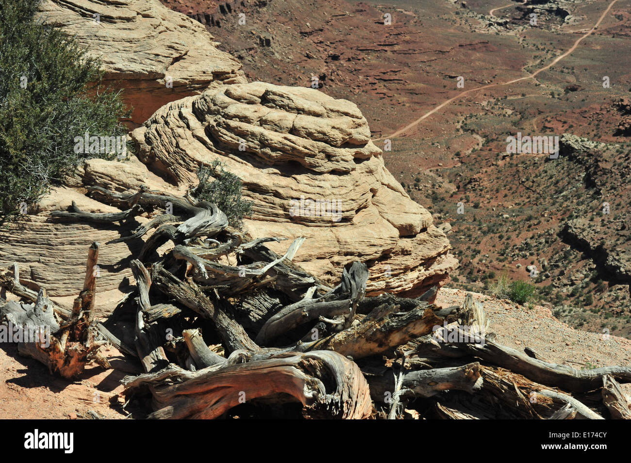 Rock with deep fissures hi-res stock photography and images - Alamy