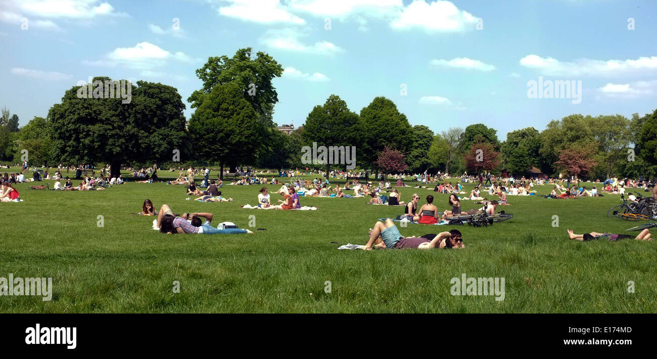 People laying on grass hi-res stock photography and images - Alamy