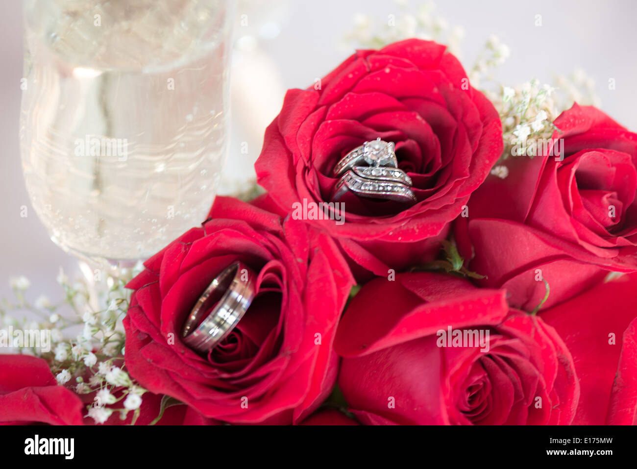 Roses with rings hi-res stock photography and images - Alamy