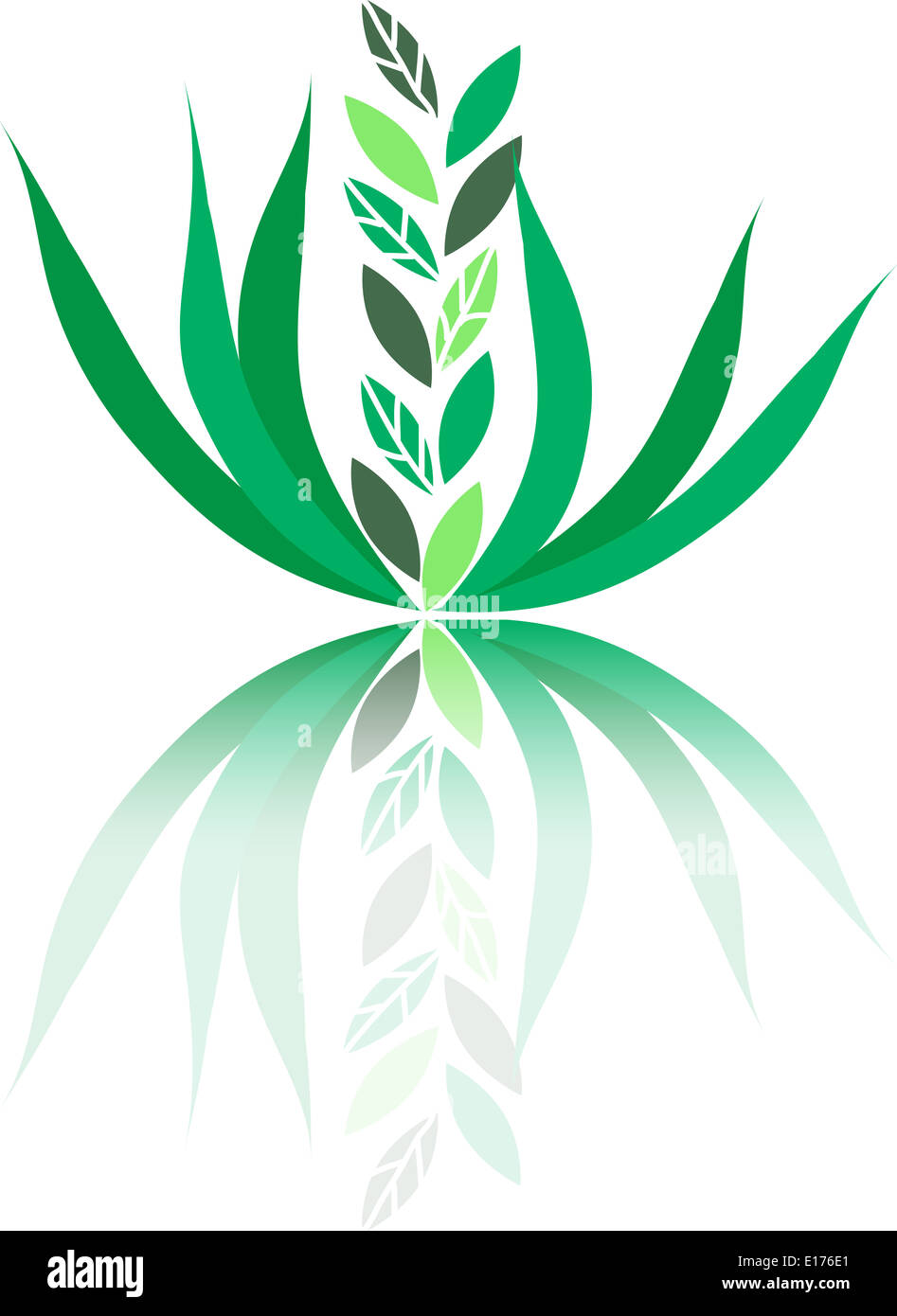 Vector drawing of a green plant - eco concept background Stock Photo ...
