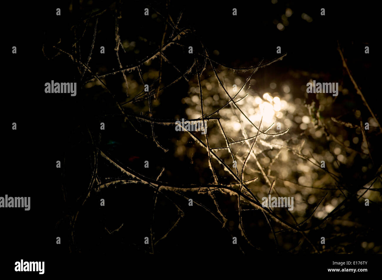 Faint background hi-res stock photography and images - Alamy