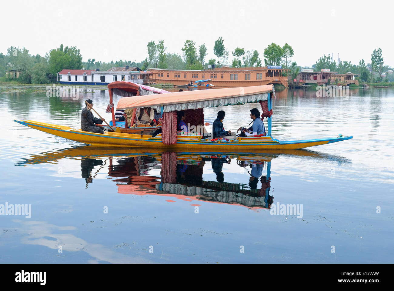 shikara boat at dal lake,srinagar,kashmir,india Stock Photo - Alamy